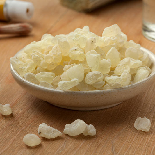 What is Mastic Gum? A Complete Guide to Its Health Benefits
