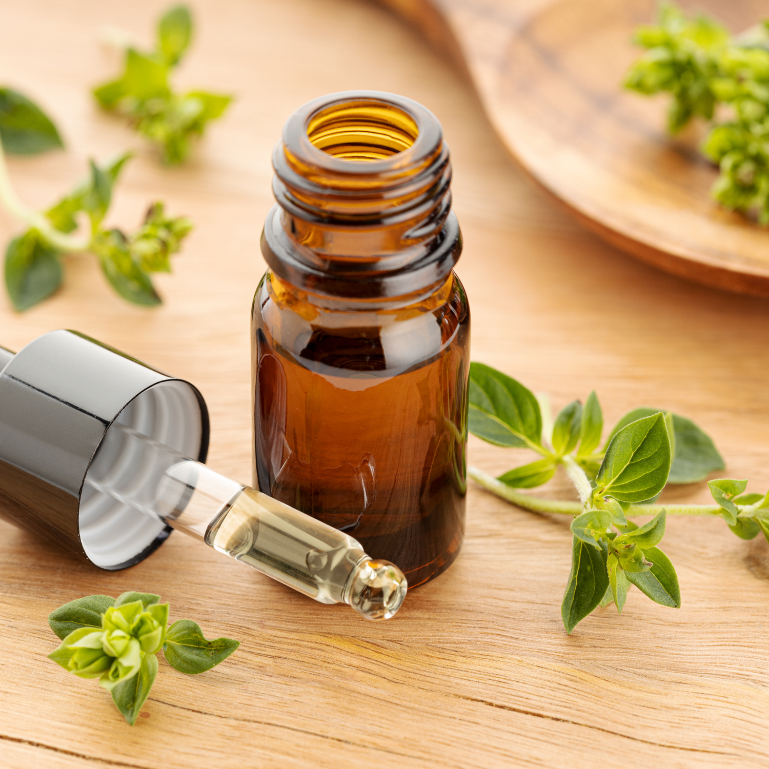 Wild Greek Oregano: Why It’s the Best Source for Oregano Oil