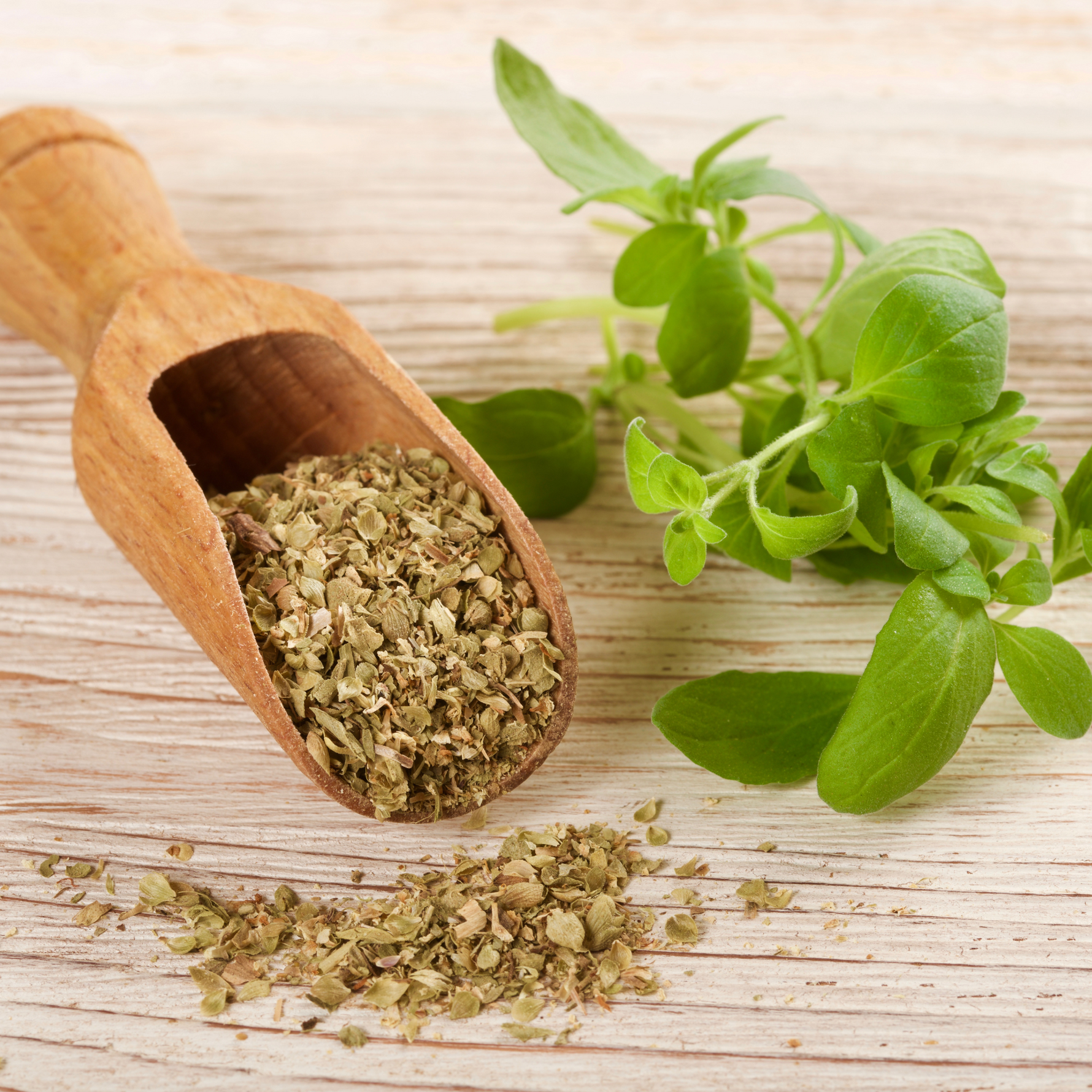 How to Create a Natural First Aid Kit Featuring Oregano Oil and Salve