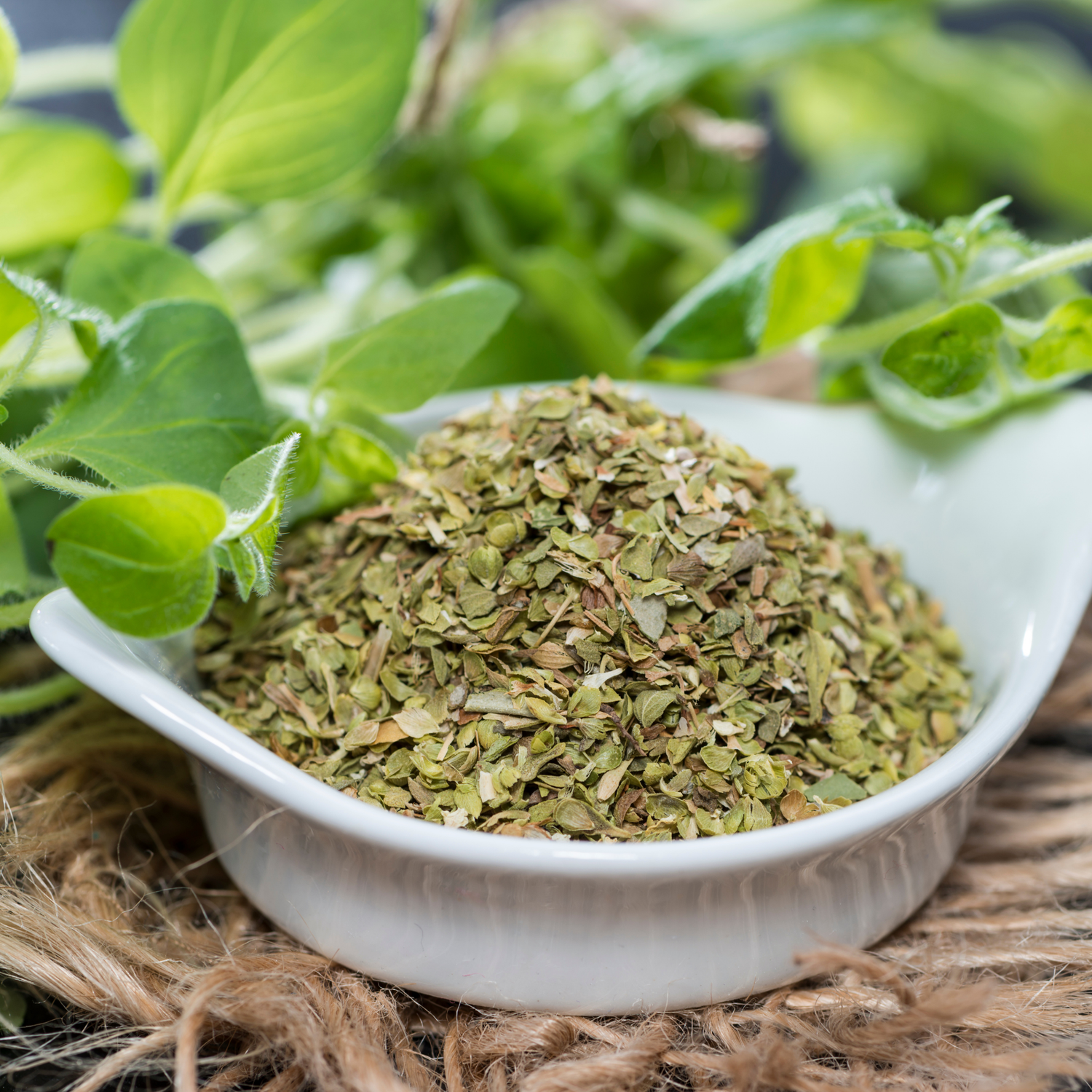 Oregano Oil for Infections: What Science Is Saying