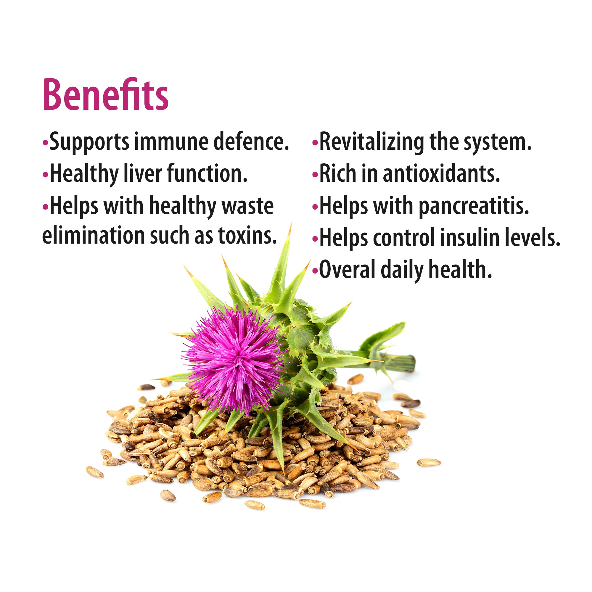 Milk Thistle Seed Powder for Joint health and healthy Liver function